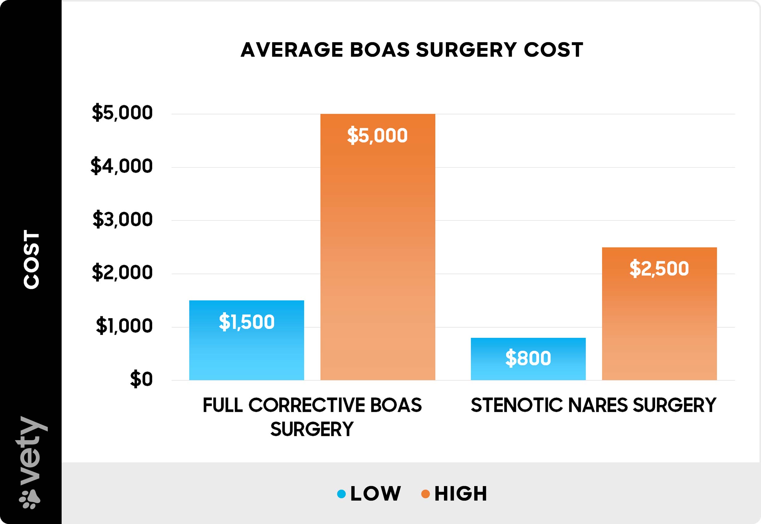 How Much Does BOAS Surgery Cost? (2026)